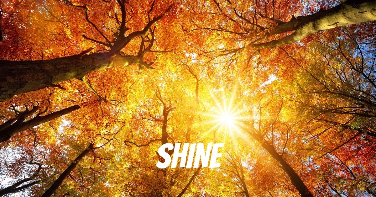 Shine - WoW Factor